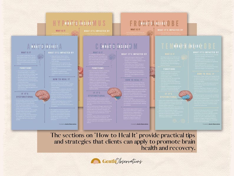 Regions of the Brain Neuroscience Psychoeducation Worksheets for Mental ...