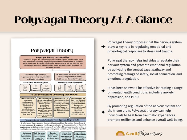 Polyvagal Theory Cheatsheet for Nervous System Regulation, Polyvagal ...