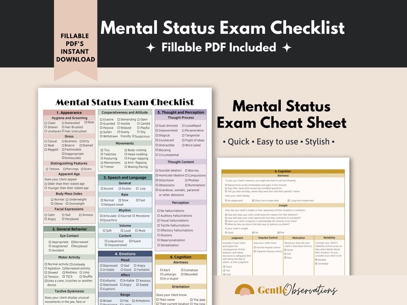 Mental Status Exam MSE Cheat Sheet Fillable Therapy Forms - Etsy