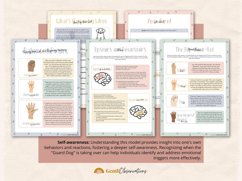 Flip Your Lid Hand Model for Emotional Regulation, Neuroscience ...