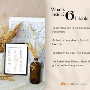 Identifying Your Felt Senses Somatic Exercise for PTSD Sensory ...