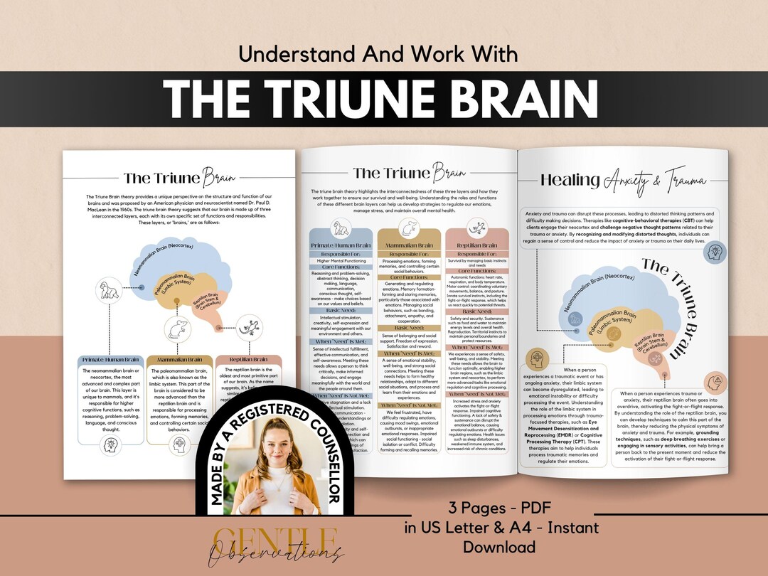 The Triune Brain Model for Healing Anxiety & Trauma Therapy Worksheets ...