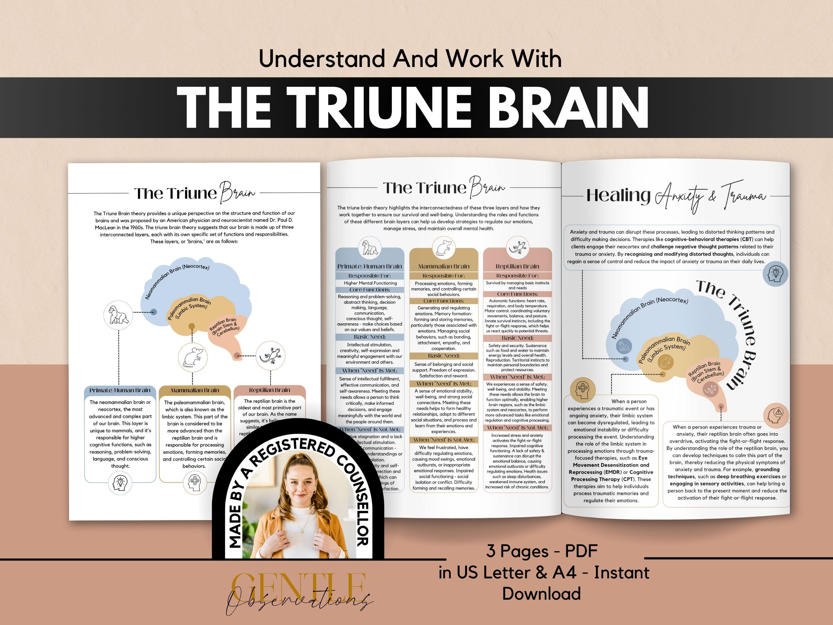 The Triune Brain Model for Healing Anxiety & Trauma Therapy Worksheets ...