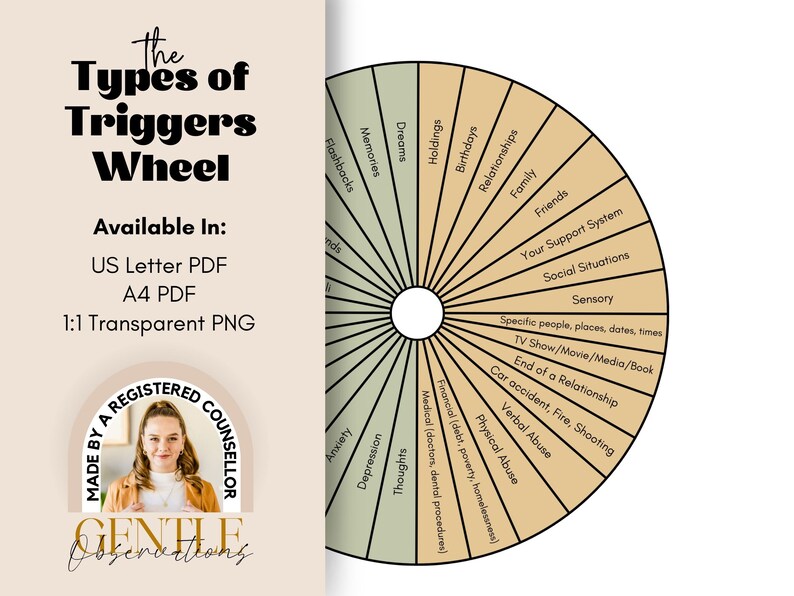 Types of Triggers Wheel: External & Internal Triggers, Trauma Triggers ...