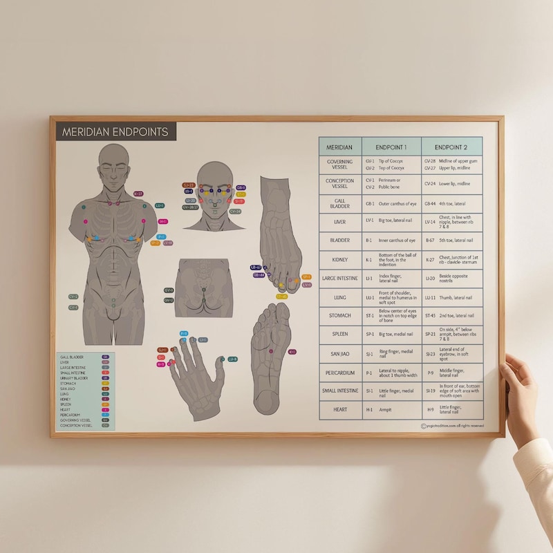 Meridian Chart - Etsy