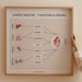 TCM 7 Emotions and Organs Poster, TCM Study Guide, Chinese Medicine ...