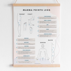 Ayurveda Marma Points of Legs Lower Limb Chart, Energy Points of ...