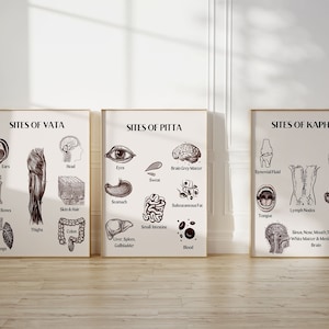 Set of 3 Sites of Vata Pitta Kapha Dosha Ayurveda Posters + Book ...