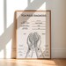 TCM Pulse Chart Poster, Traditional Chinese Medicine Pulse Reading Art ...