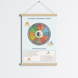 TCM 24 Hour Circadian Clock Poster, Chinese Medicine Gift, Chinese ...