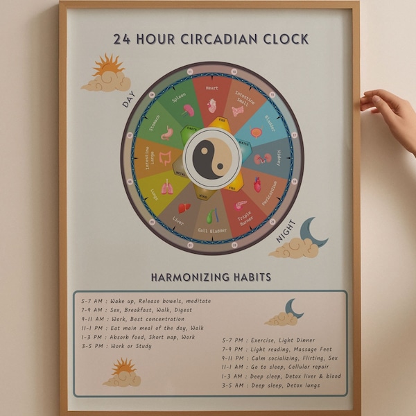 TCM Formation of Body Fluids Poster, Chinese Medicine Gift, Chinese ...