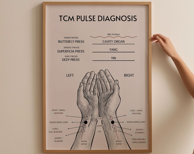 Acupuncture Meridian Channel Wall Art 25" X 36" • Chinese Medicine ...