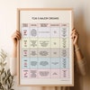 TCM Pulse Chart Poster, Traditional Chinese Medicine Pulse Reading Art ...