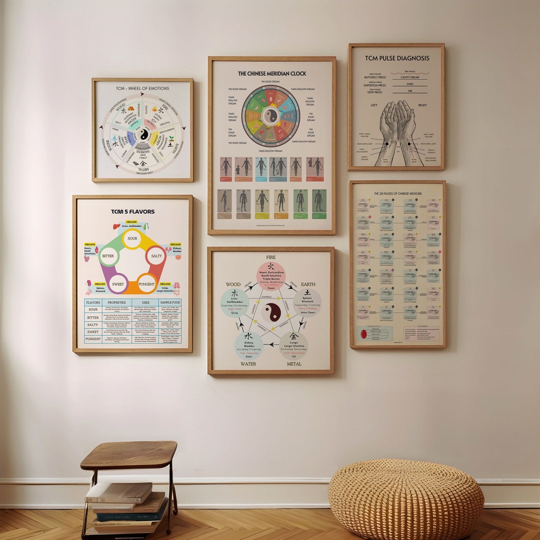TCM Charts Posters Bundle of 6 Posters for Clinic, Choose Any 6 Charts ...