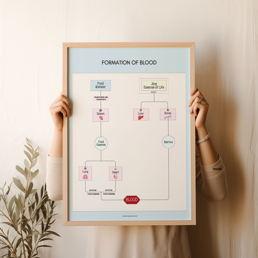TCM Formation of Blood Poster, Chinese Medicine Gift, Chinese Medicine ...