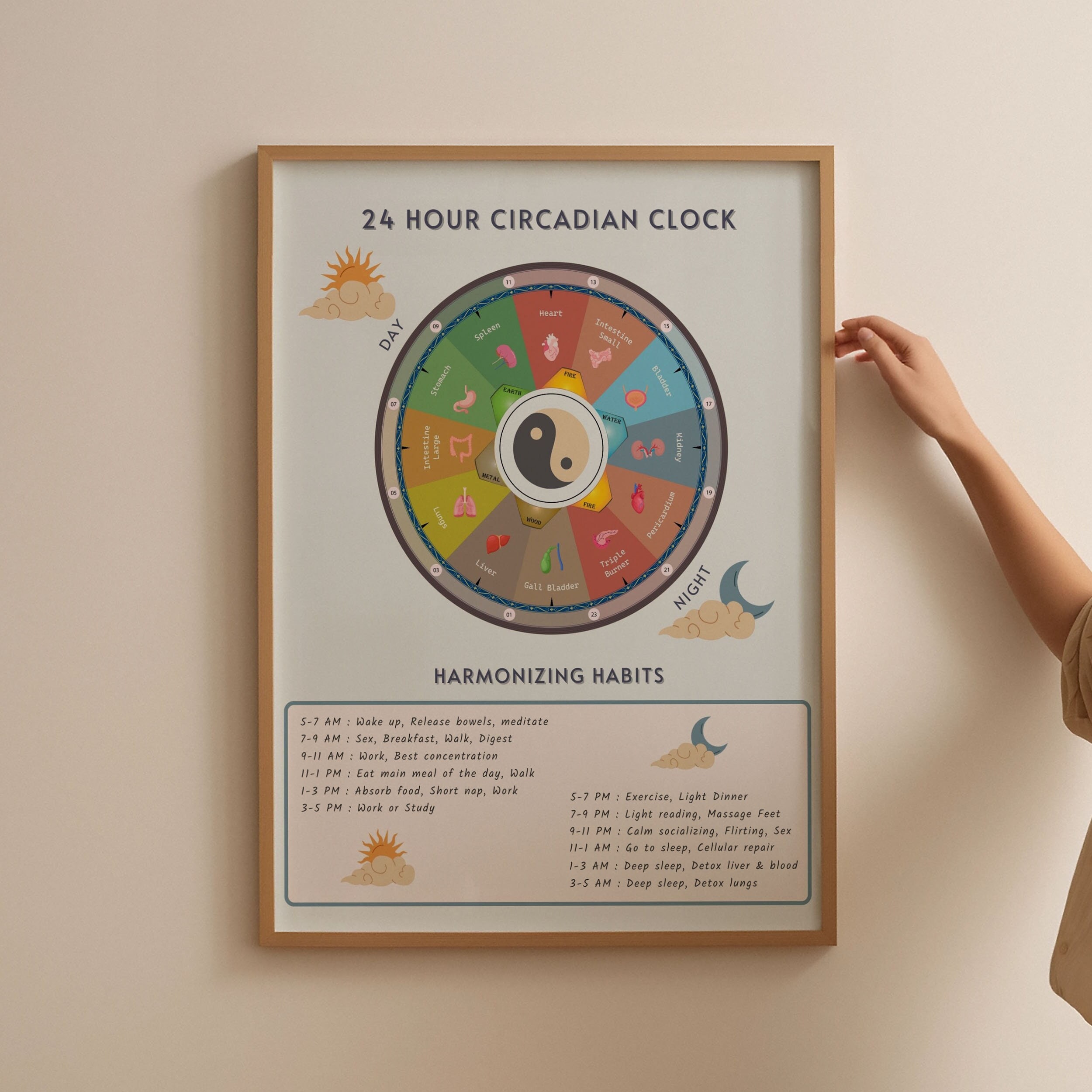 TCM 24 Hour Circadian Clock Poster, Chinese Medicine Gift, Chinese ...