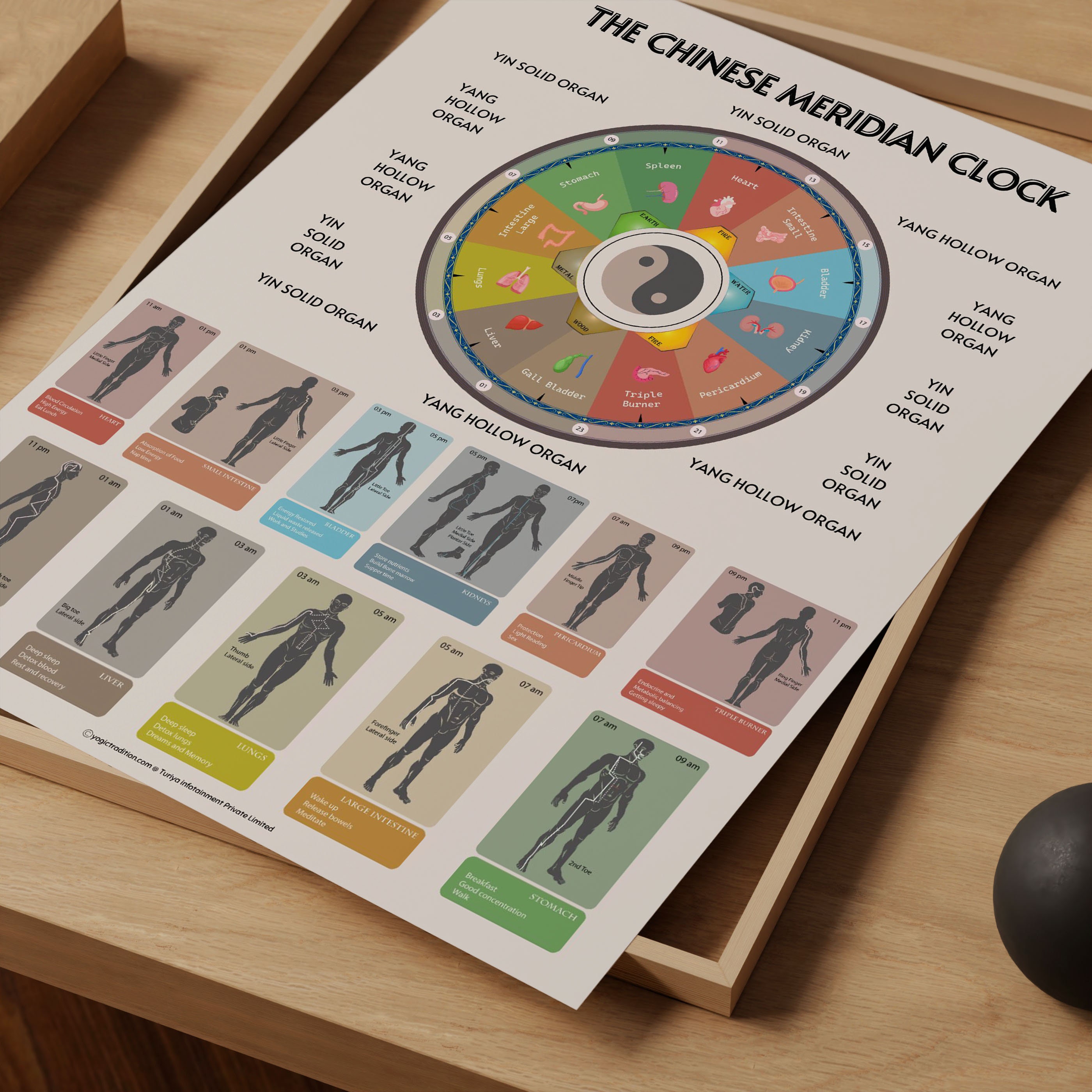 TCM Meridian Organ Uhr Poster, Chinesische Medizin Geschenk ...