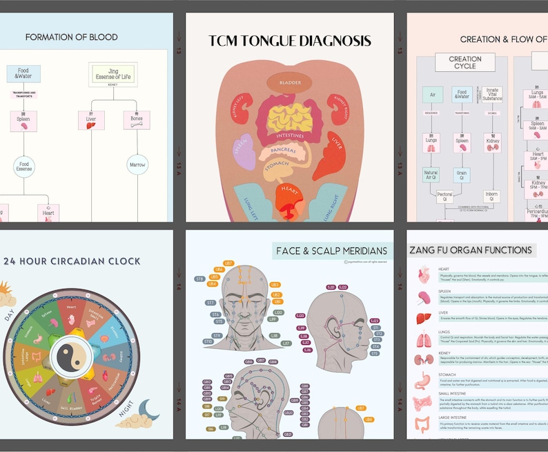 TCM Study Bundle: Chinese Medicine Charts, Posters, Cheat Sheets (US ...