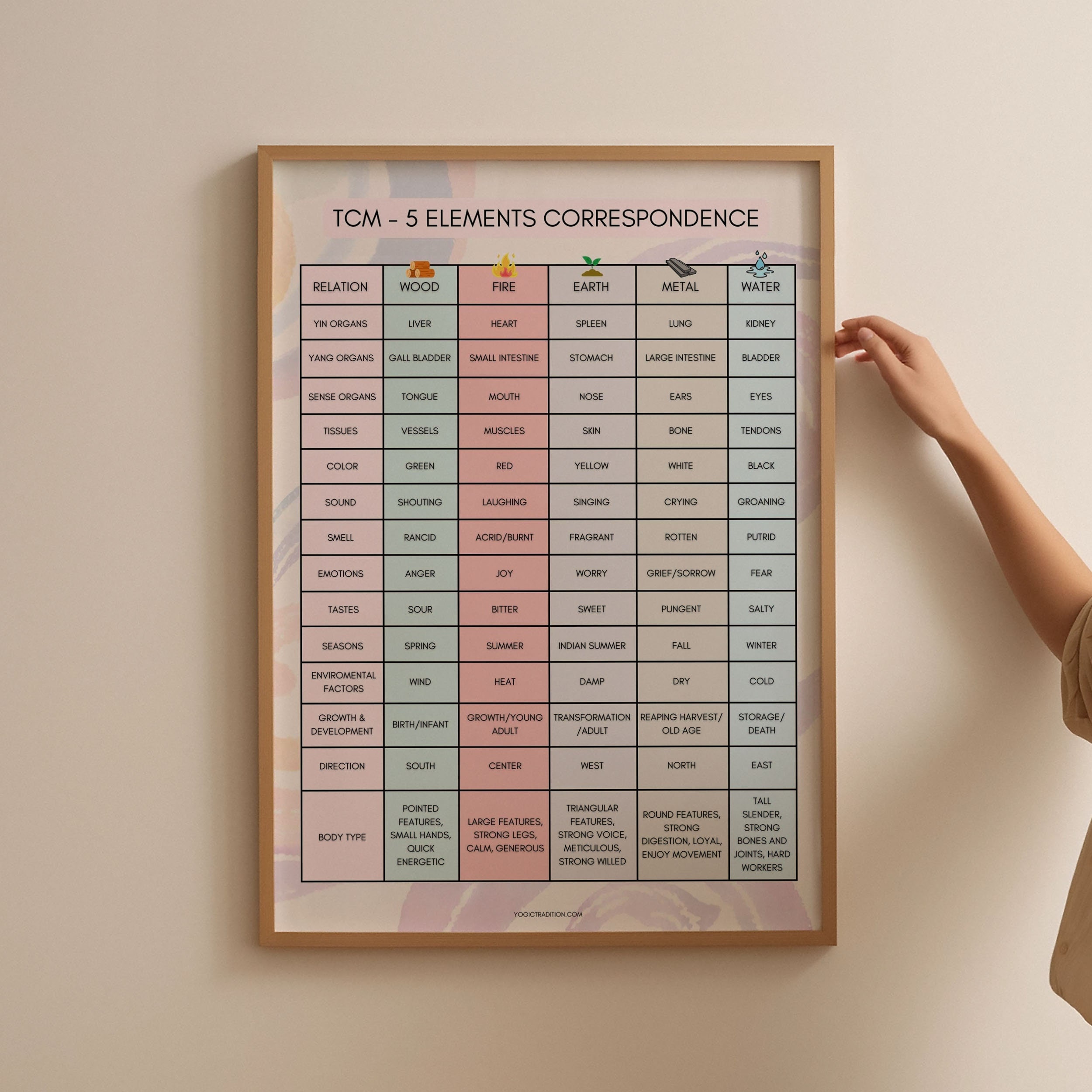 TCM Five Elements Correspondence, 5 Elements Poster, Chinese Medicine ...