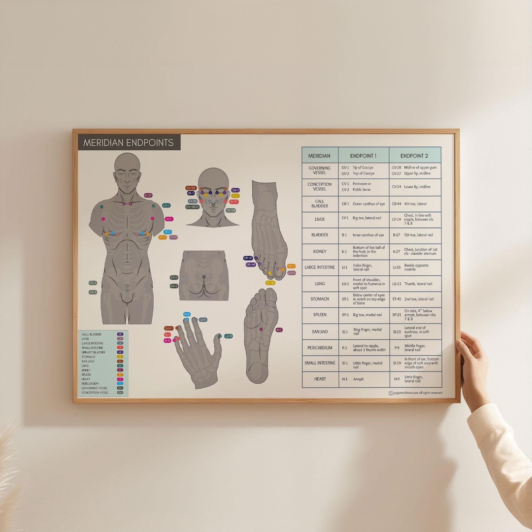 TCM 14 Meridians Endpoints Poster, Chinese Medicine Gift, Chinese 14 ...