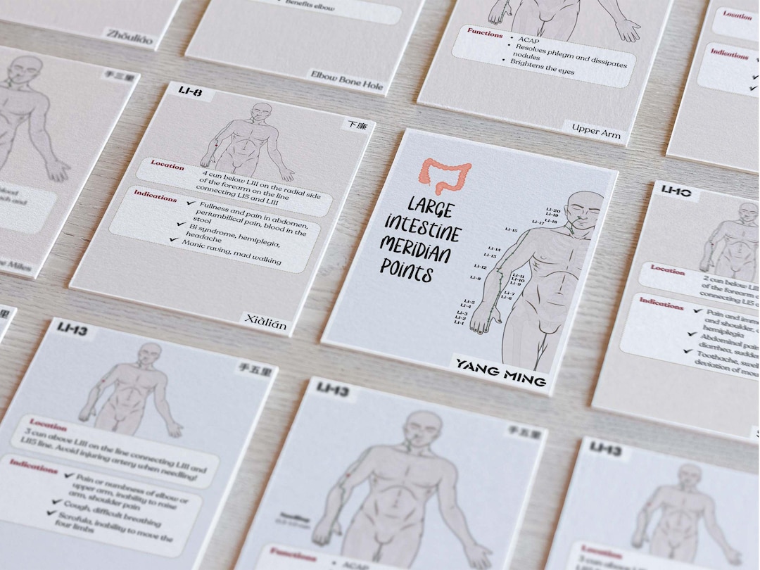 TCM Large Intestine Meridian Acupuncture Points Flash Cards Printable ...