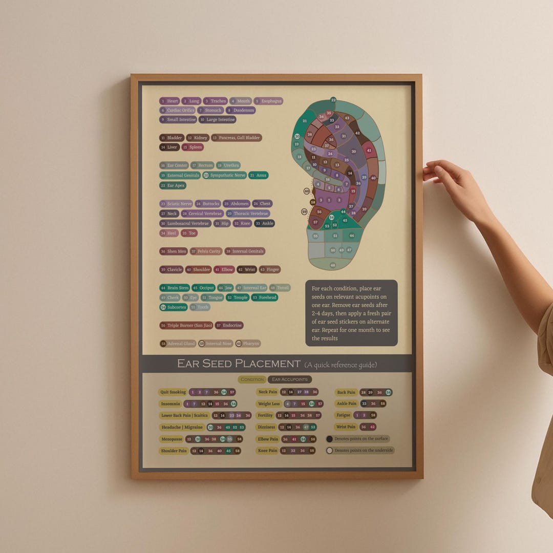 Ear Seed Placement Chart, TCM Acupuncture Points Poster (digital ...