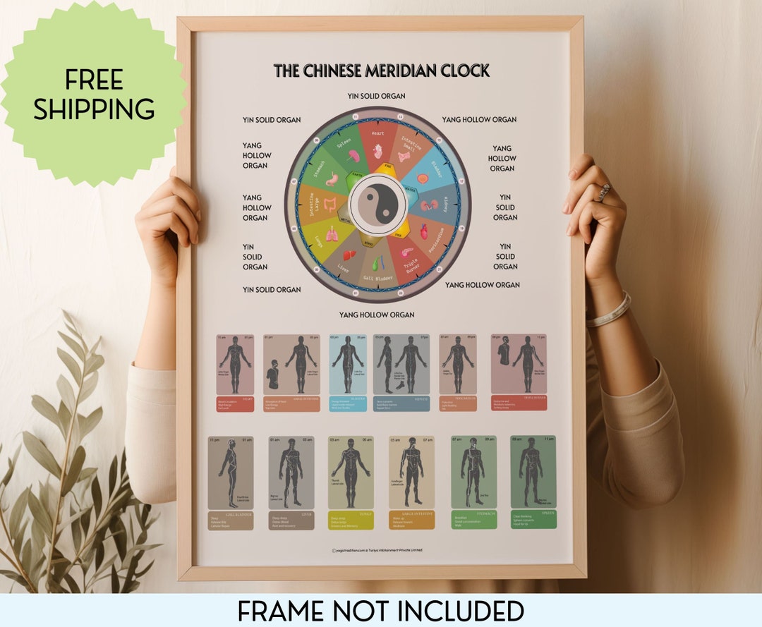 TCM Meridian Organ Clock Poster, Chinese Medicine Accupuncturist Gift ...