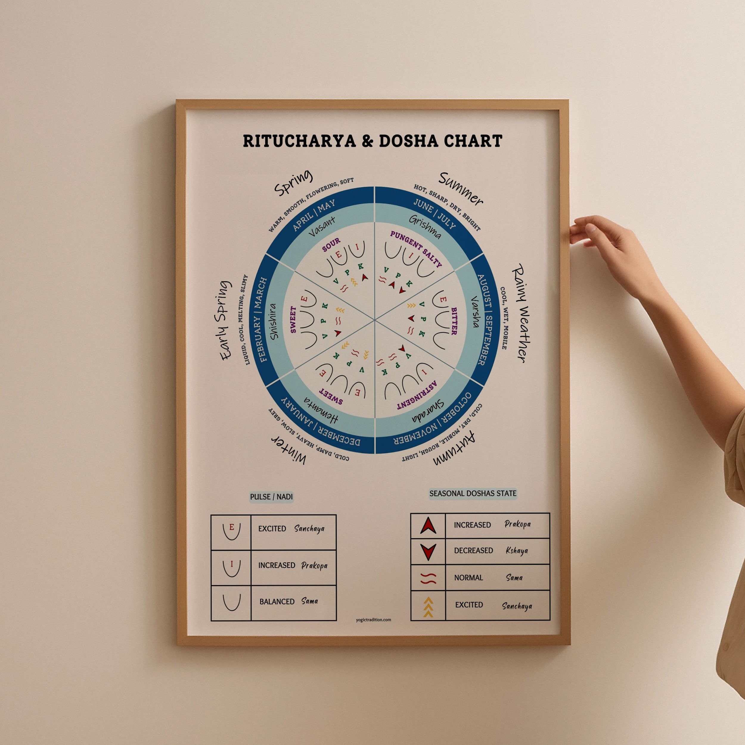 Ritucharya Seasons and Dosha Relation Chart Ayurveda Infographic Poster ...