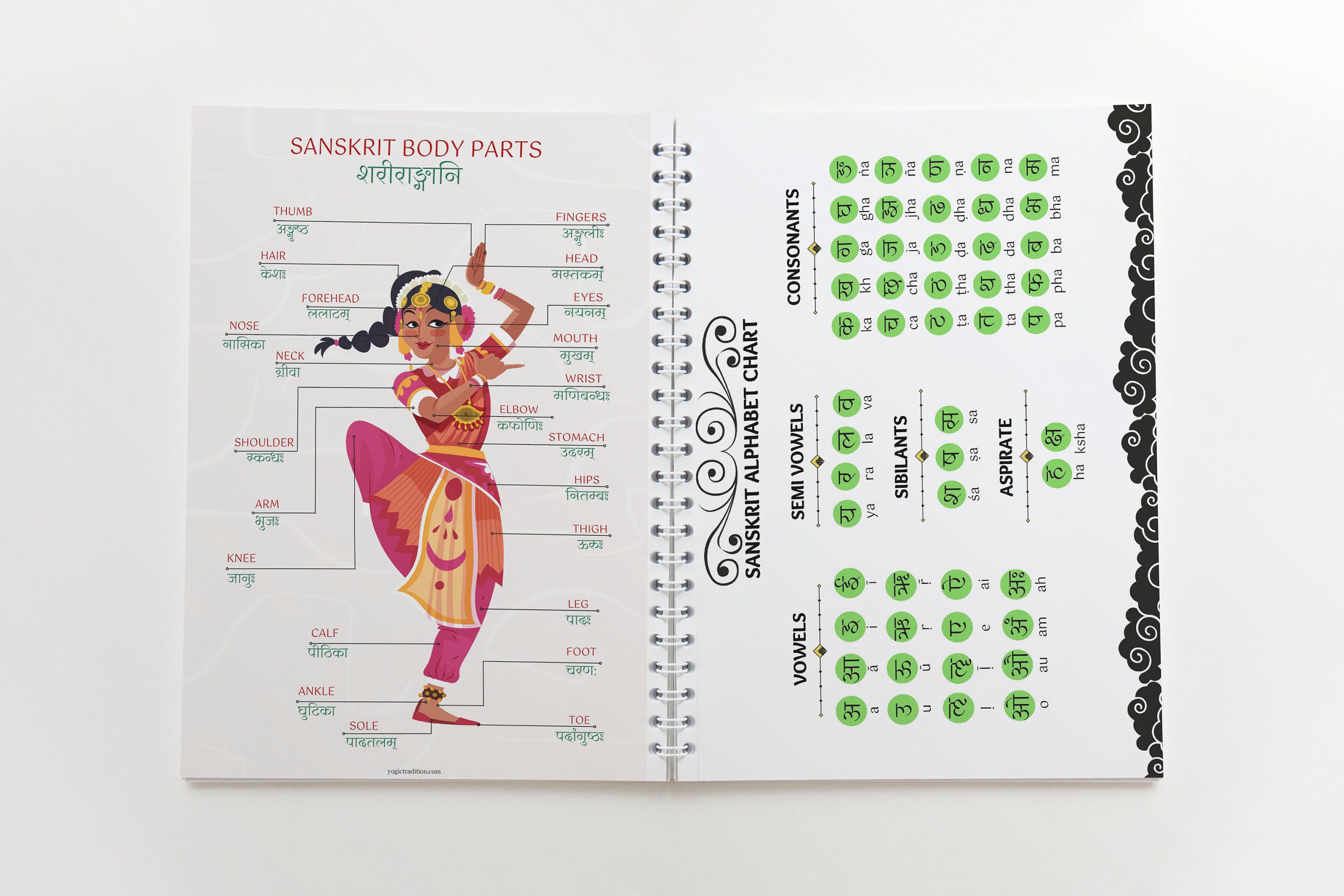 Sanskrit Body Parts Names With English Translations Self Study Chart ...