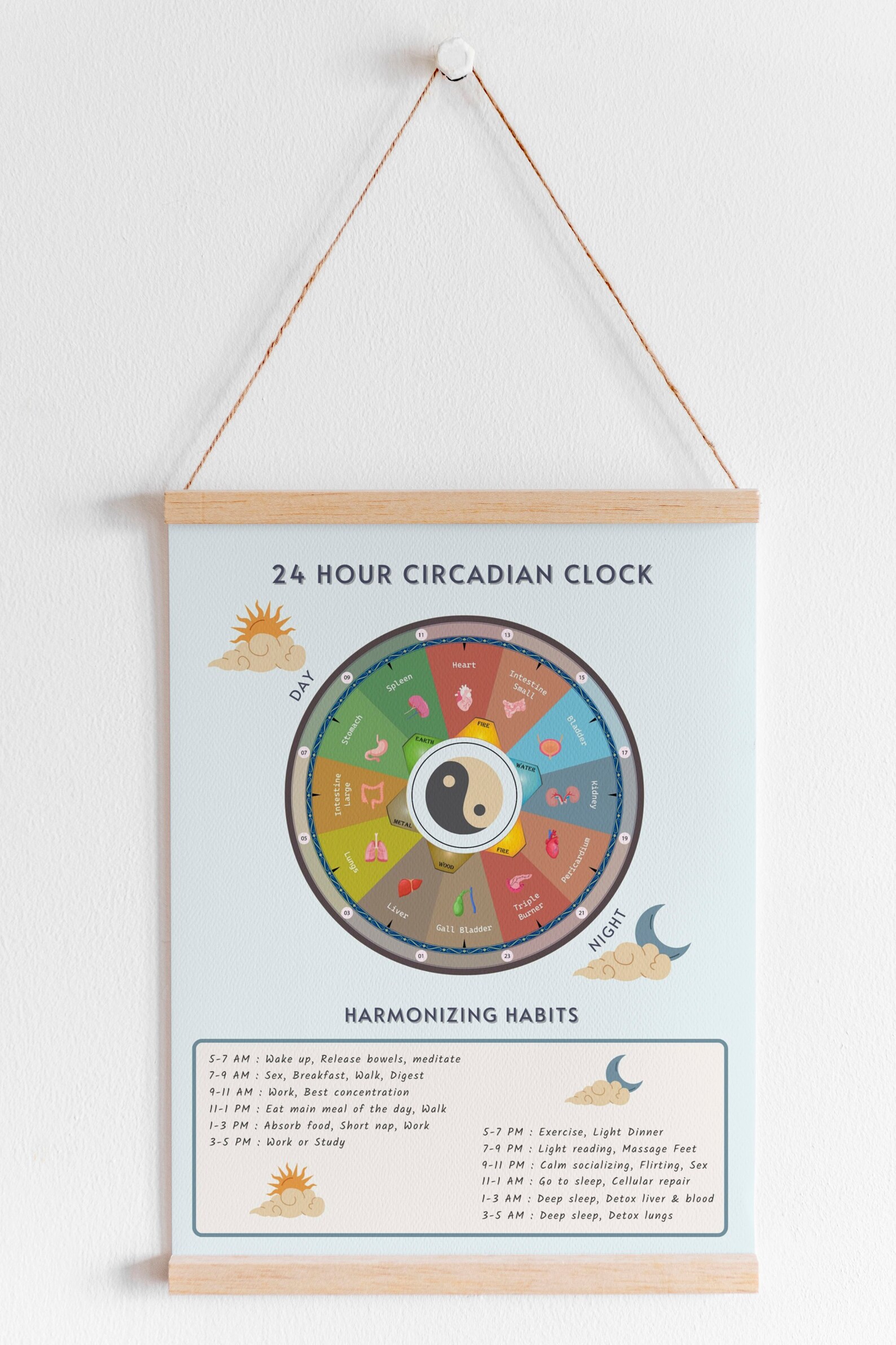 TCM 24 Hour Circadian Clock Poster, Chinese Medicine Gift, Chinese ...