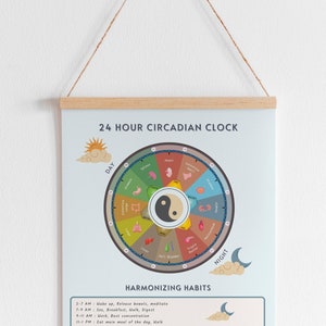 TCM 24 Hour Circadian Clock Poster, Chinese Medicine Gift, Chinese ...