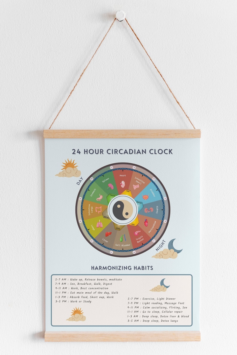 TCM 24 Hour Circadian Clock Poster, Chinese Medicine Gift, Chinese ...