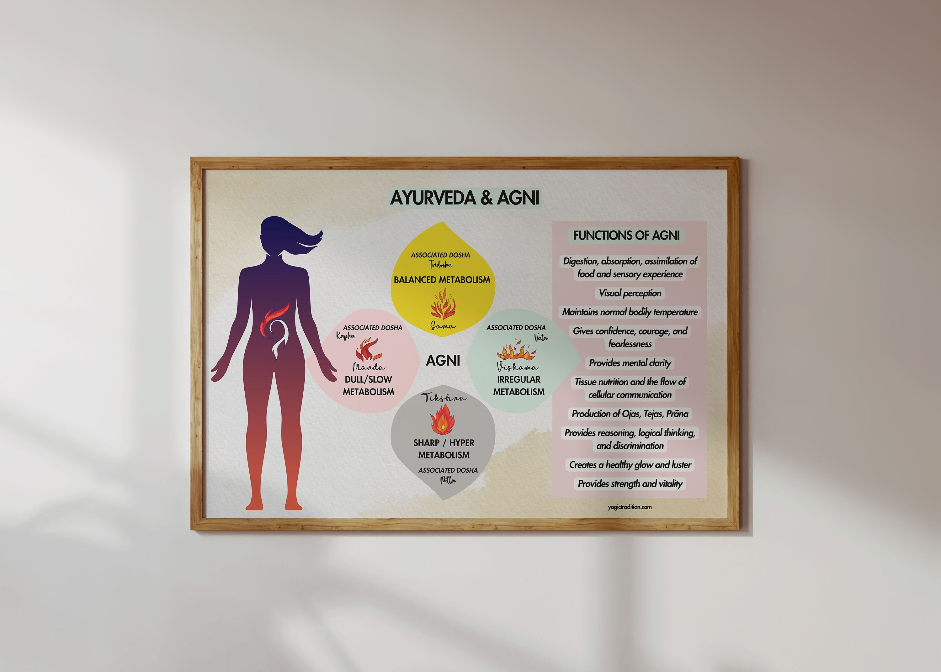 Ayurveda Poster, Ayurveda & Agni Chart, Alternative Medicine Printable ...