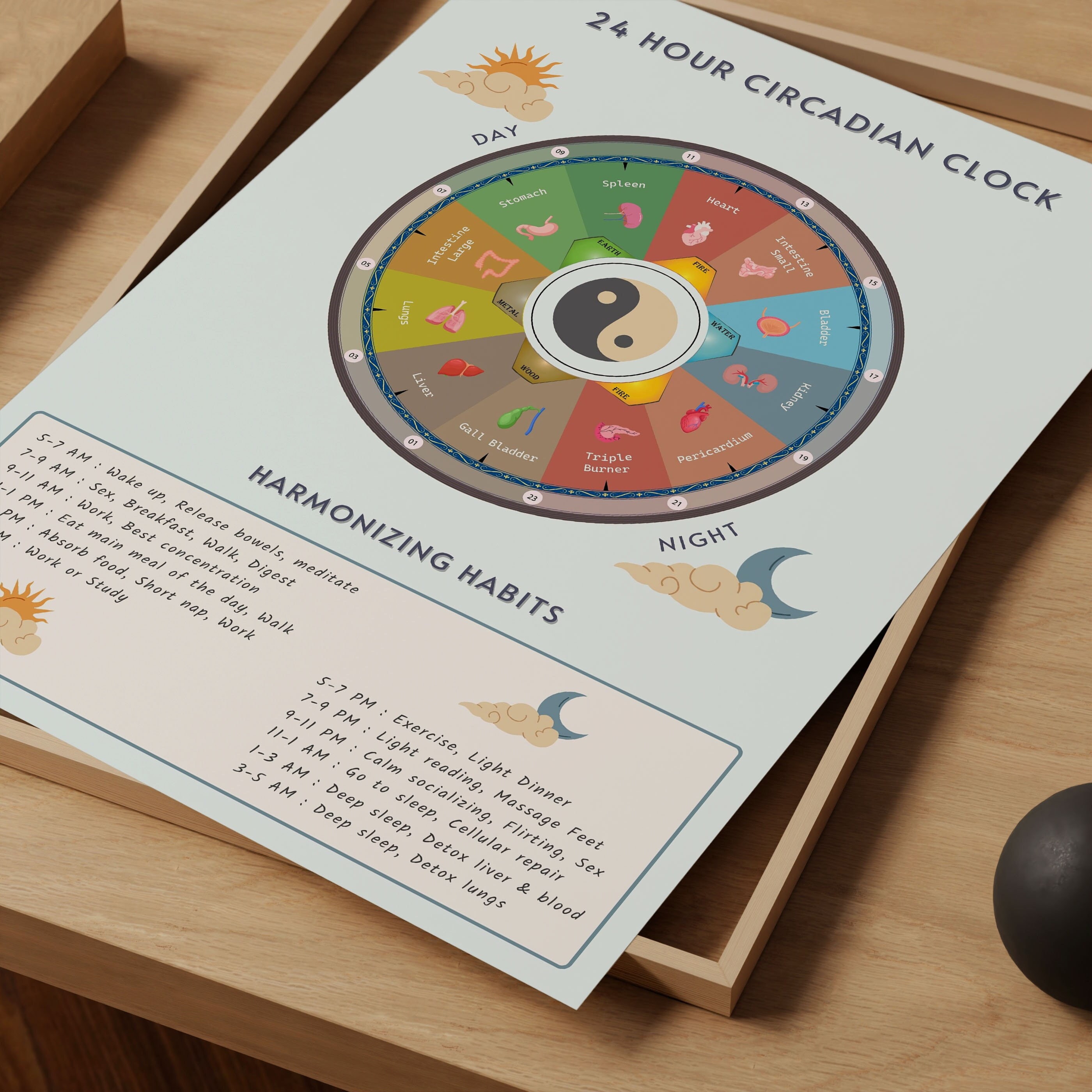 TCM 24 Hour Circadian Clock Poster, Chinese Medicine Gift, Chinese ...