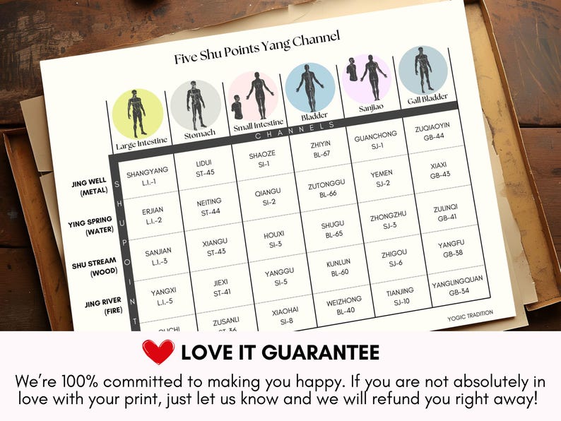 TCM 5 Shu Points Cheat Sheets for Acupuncturist, Yin Yang Channels ...