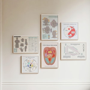 TCM Charts Posters Bundle of 6 Posters for Clinic, Choose Any 6 Charts ...