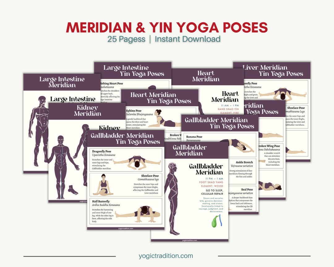 TCM Yin Yoga for 12 Meridians Guide, Yin Yoga Poses, Traditional ...