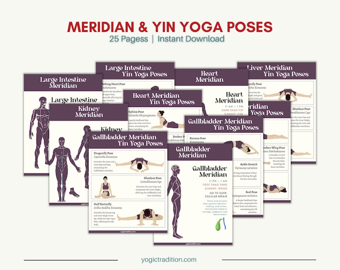 Five Element and Meridian Emotions Chart (PDF Digital Download) - Etsy
