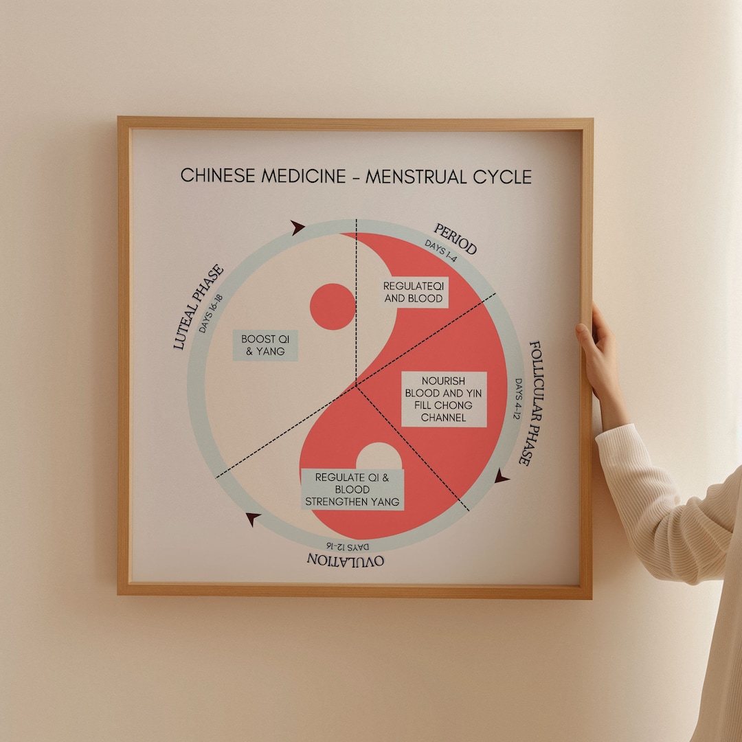 TCM Menstrual Cycle Print Poster, TCM Study Guide, Chinese Medicine ...