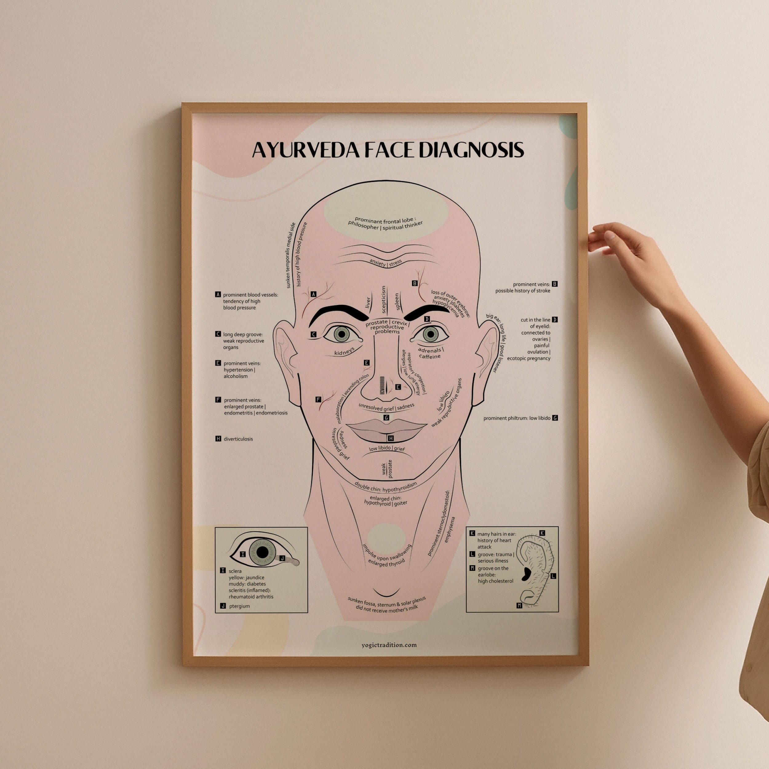Ayurveda Face Diagnosis Poster Book Planner Insert, Ayurveda Chart ...