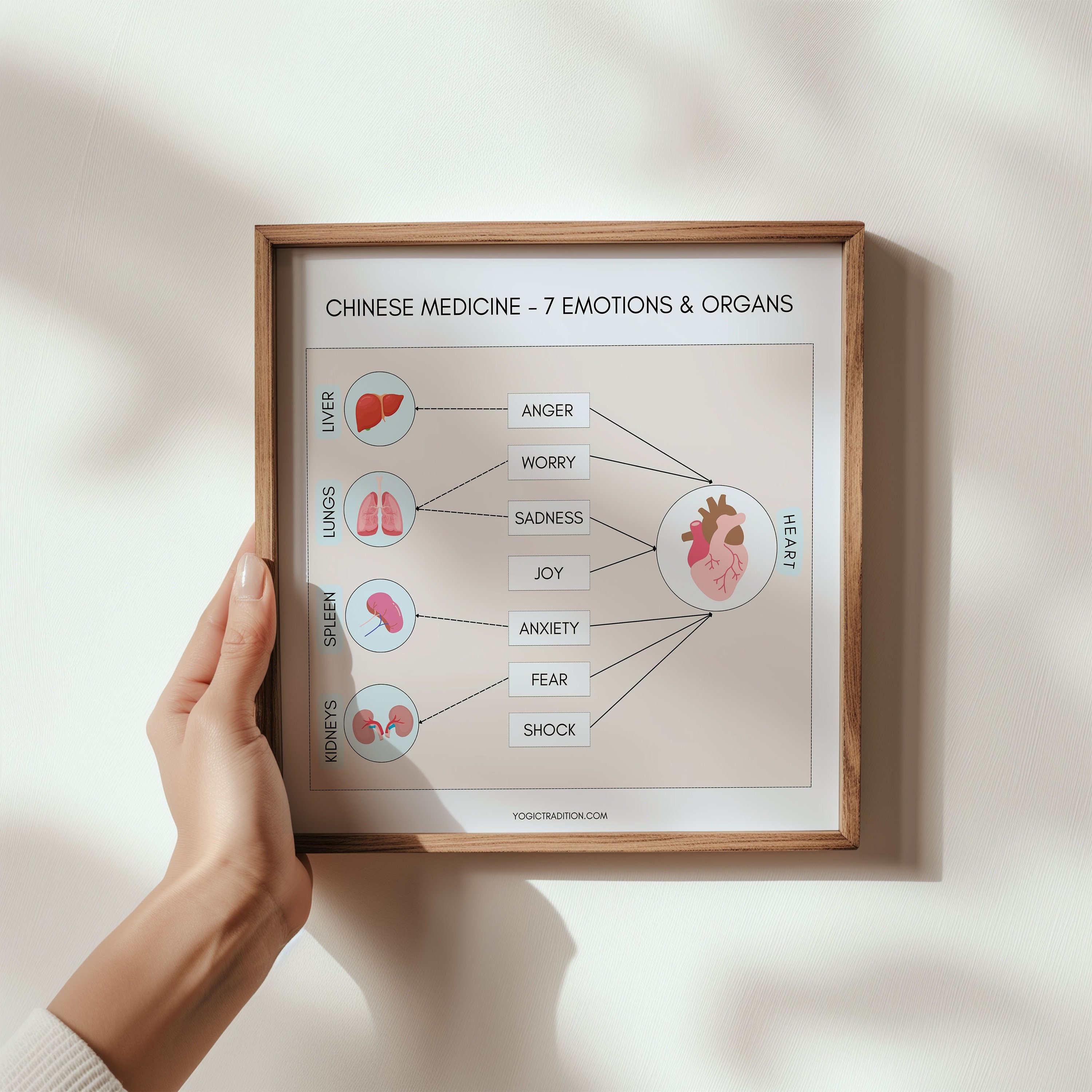 TCM 7 Emotions and Organs Poster, TCM Study Guide, Chinese Medicine ...