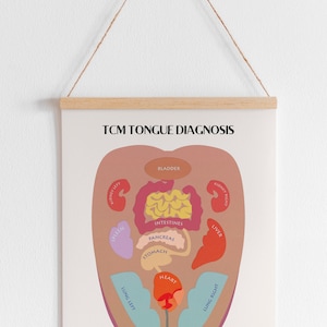 TCM Tongue Diagnosis Chart Poster + Book Planner Insert, Traditional ...