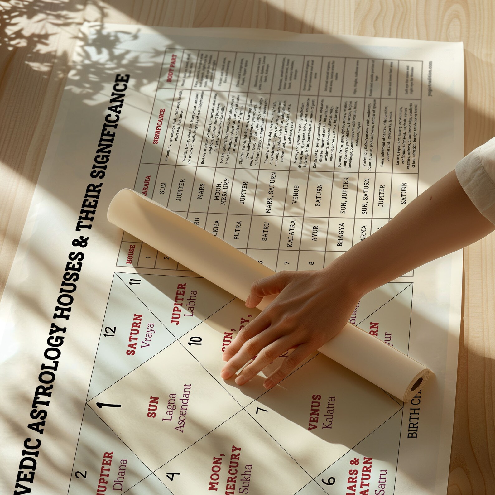 Vedic Astrology Birth Chart Significance Poster, Hindu Astrology Vedic ...