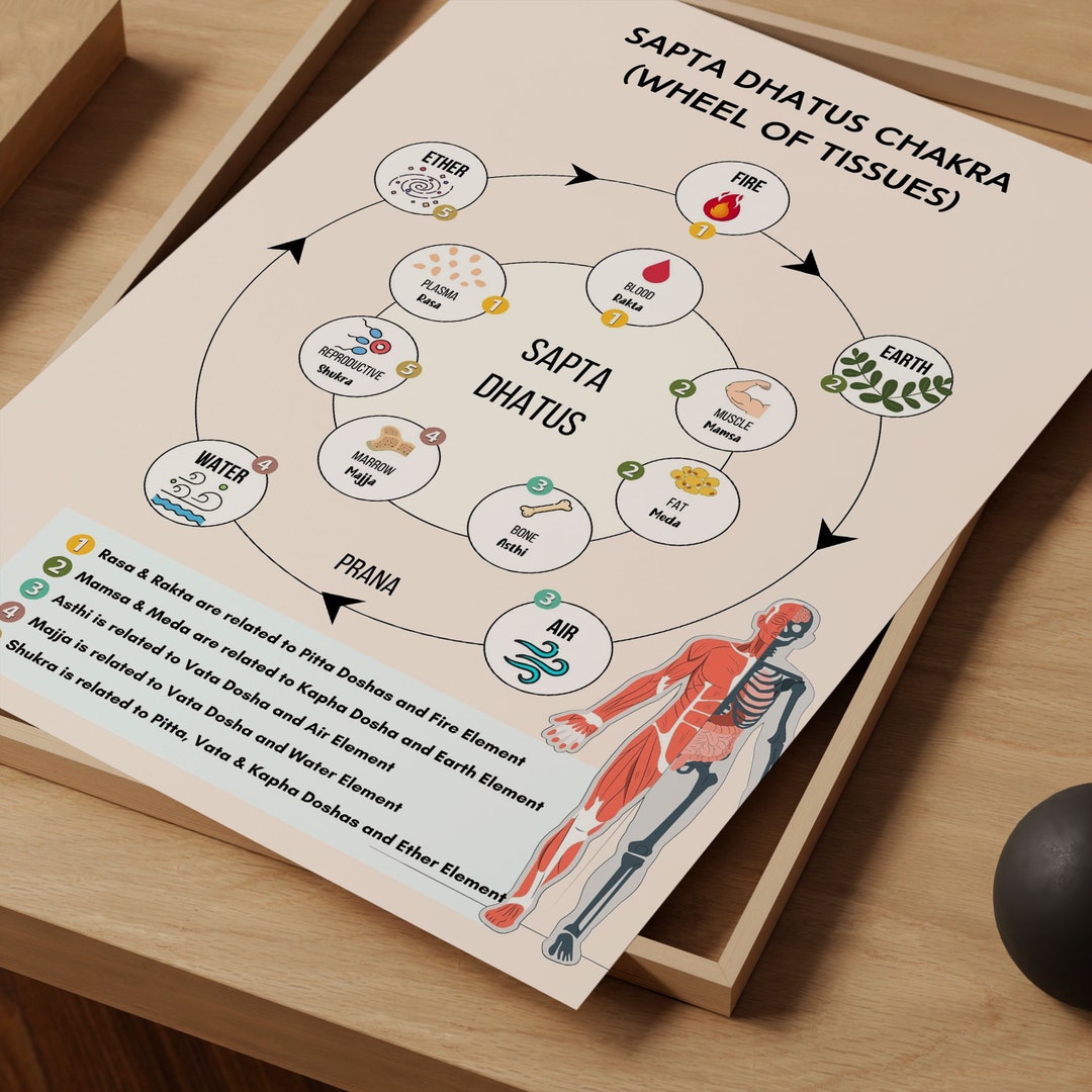 Ayurveda Sapta Dhatu Wheel Chart Poster 7 Dhatus Relation With - Etsy ...