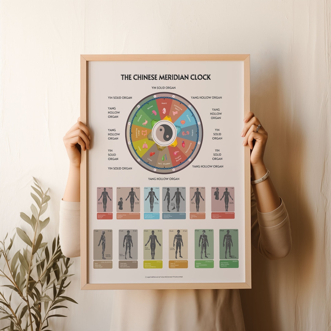 TCM Meridian Organ Clock Poster, Chinese Medicine Gift, Chinese 12 ...