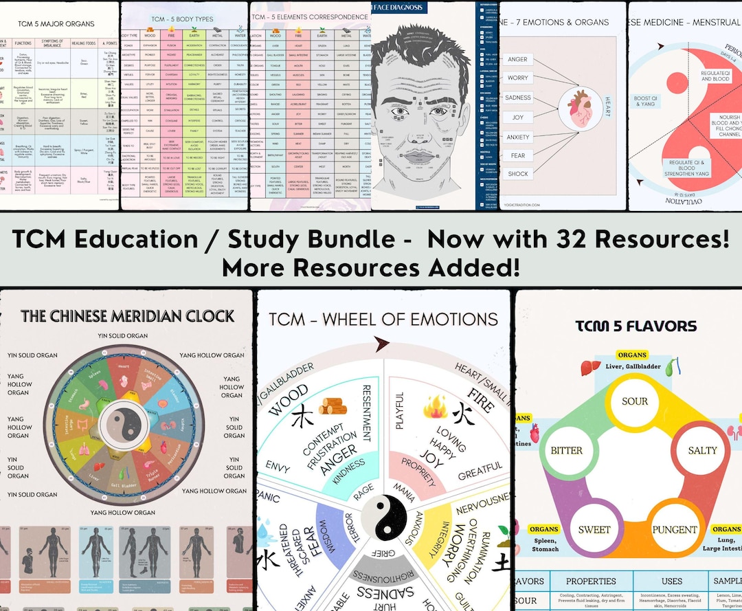 TCM Study Education Bundle for Students Practitioners Acupuncturist ...