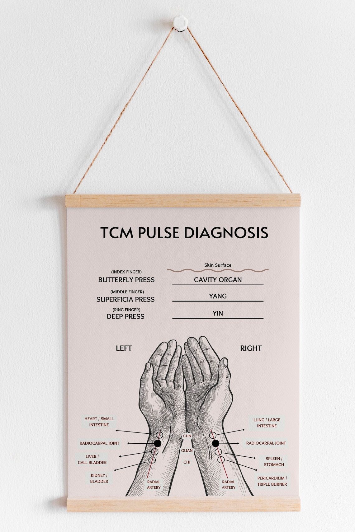 TCM Pulse Chart Poster, Traditional Chinese Medicine Pulse Reading Art ...