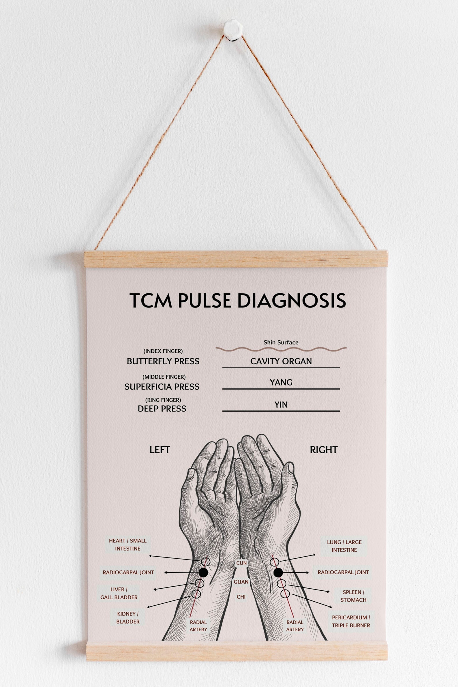 TCM Pulse Chart Poster, Traditional Chinese Medicine Pulse Reading Art ...
