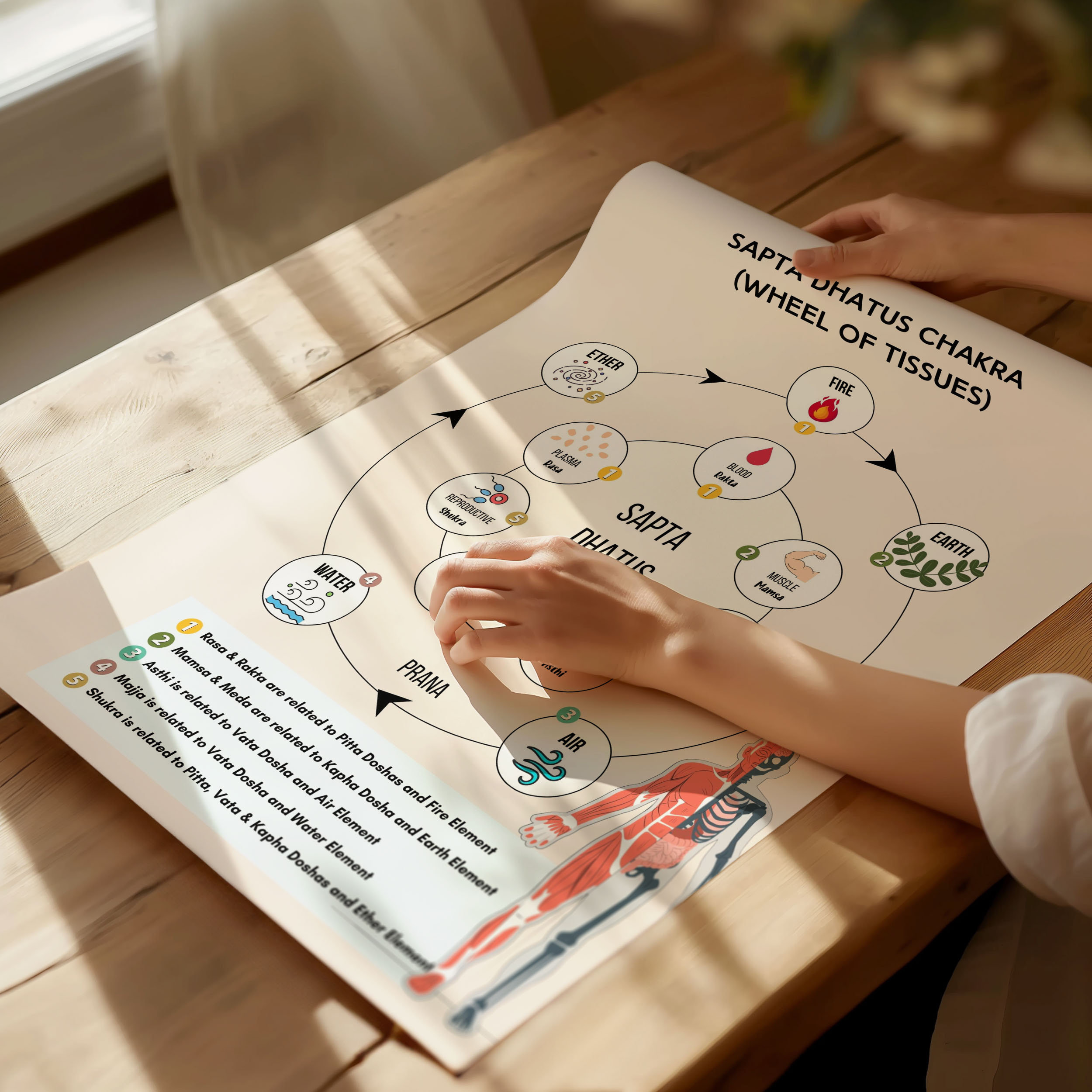 Ayurveda Sapta Dhatu Wheel Chart Poster 7 Dhatus Relation With 5 Elements Study Aid Guide ...