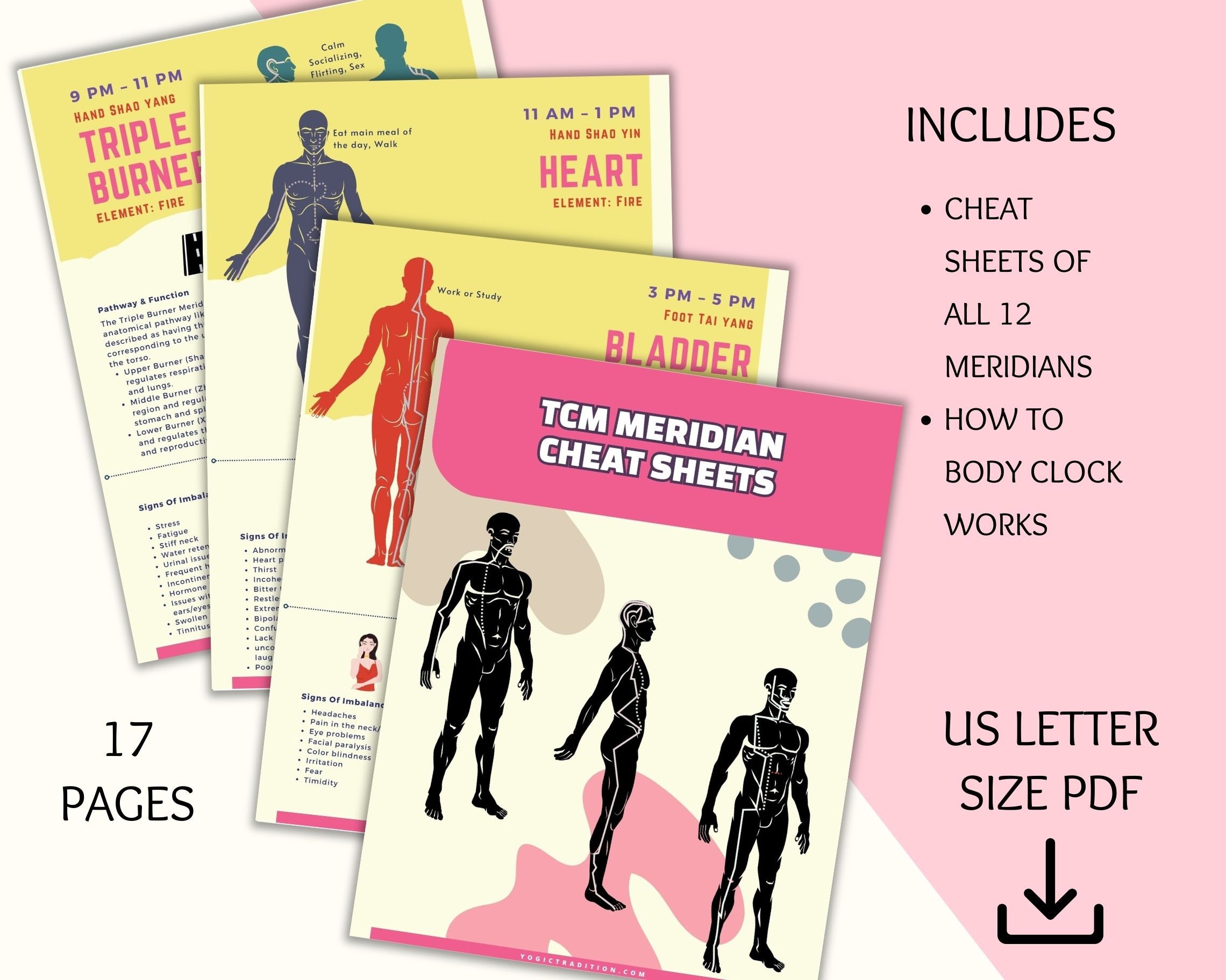 TCM 12 Meridians and Body Clock Cheatsheets Guide, Colored, Traditional ...